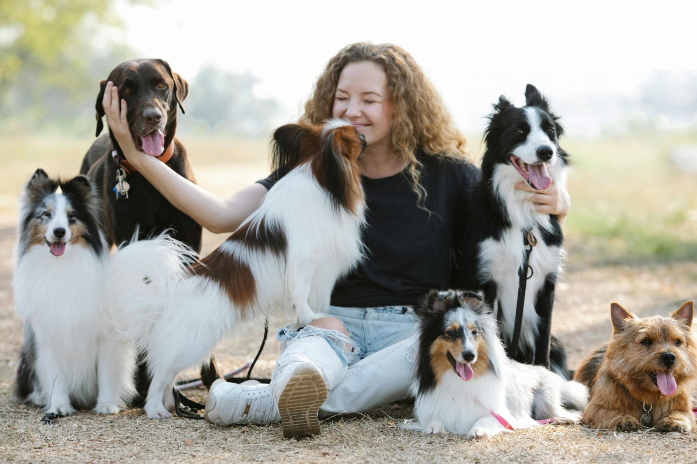 How Dogs Make Us Live Happier Lives – Duke's Delights